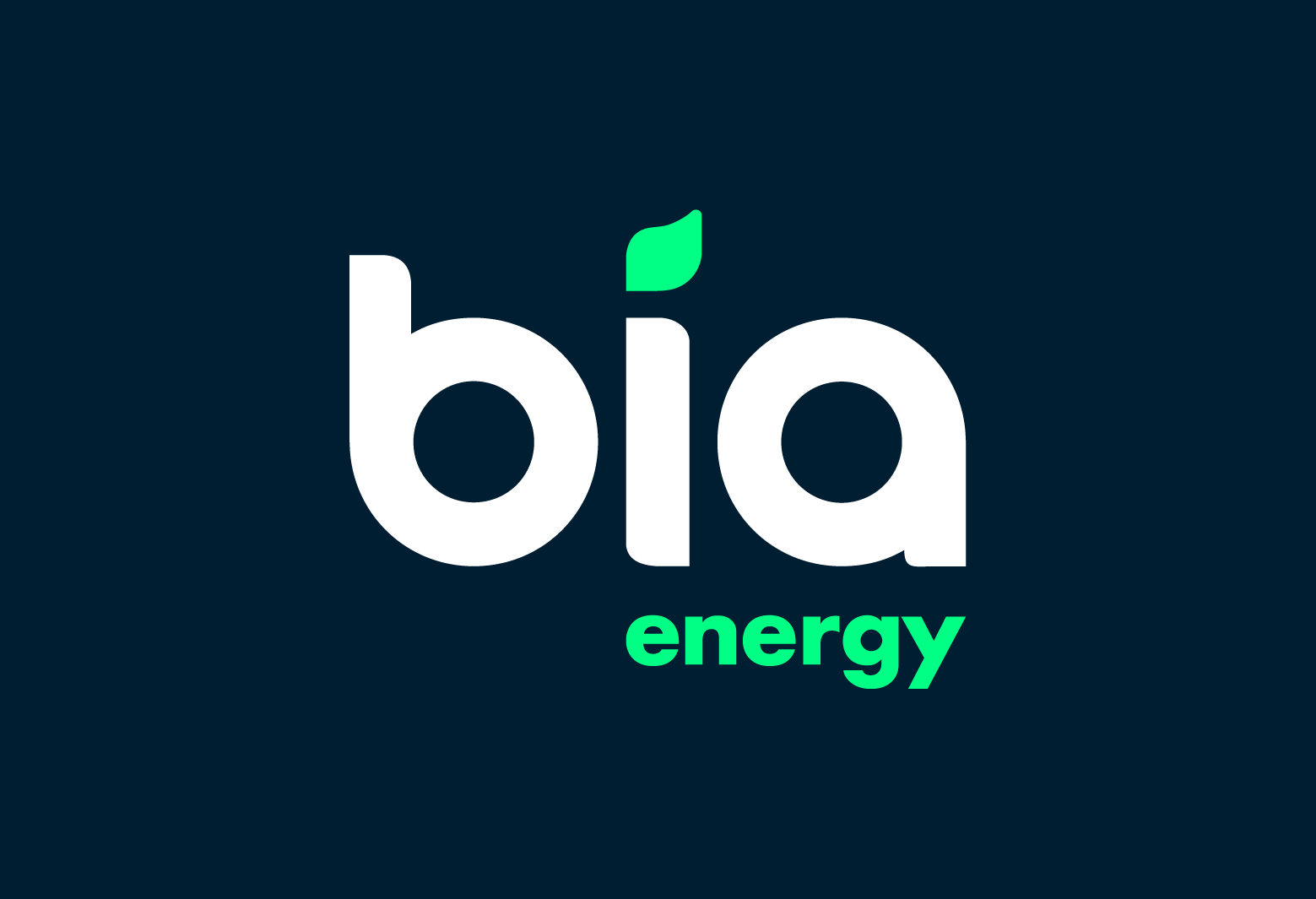 Building a Brand - Bia Energy. - Big Dog Digital